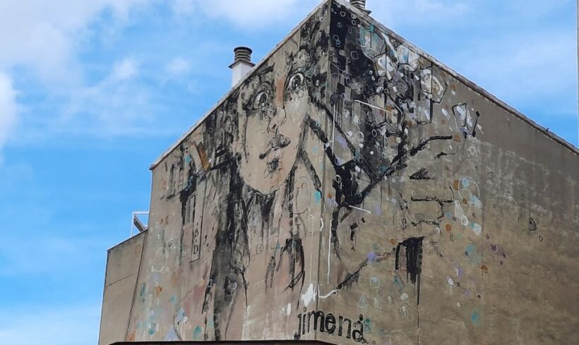 Salamanca: Private Guided Street Art Walking Tour - Highlights of the Experience