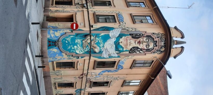 Salamanca: Private Guided Street Art Walking Tour - Who Will Love This Tour?