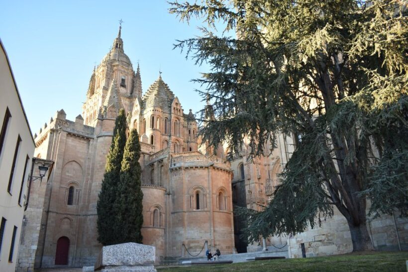 Salamanca: Private Sightseeing & Cultural Walking Tour - Meeting and Getting Started