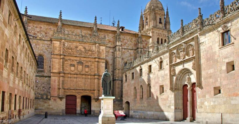 Salamanca: Private Sightseeing & Cultural Walking Tour - The Heart of Salamanca: Plaza Mayor