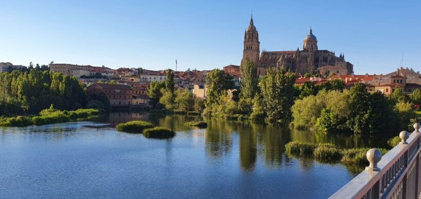 Salamanca: Private tour of the most important sites - Detailed Breakdown of the Itinerary