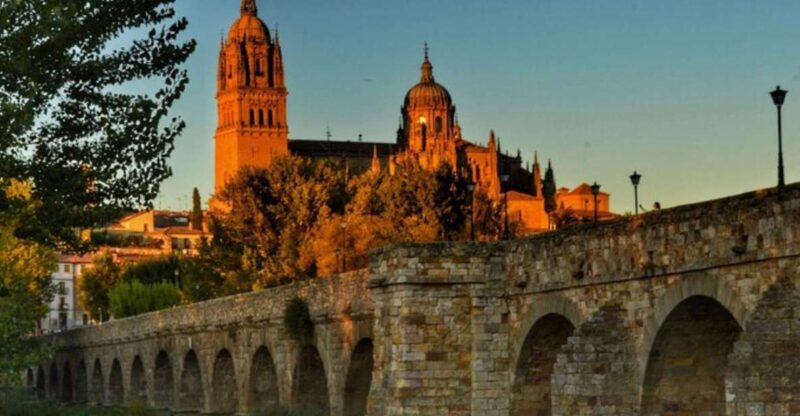 Salamanca: Private Walking Tour with a Local Guide - The Experience from a Traveler’s Perspective