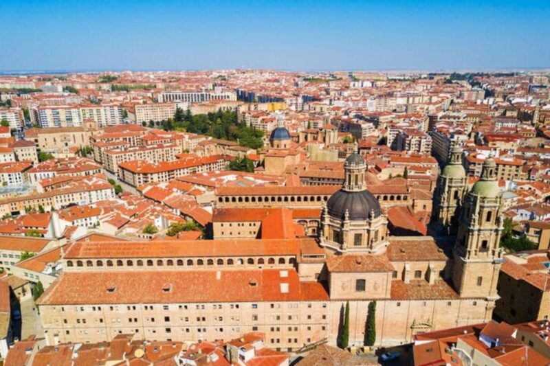 Salamanca: Private Walking Tour with a Local Guide - The Sum Up