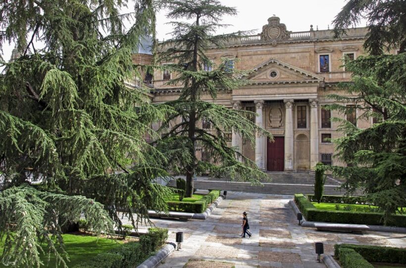Salamanca: University and Colleges Walking Tour (Private) - The Sum Up