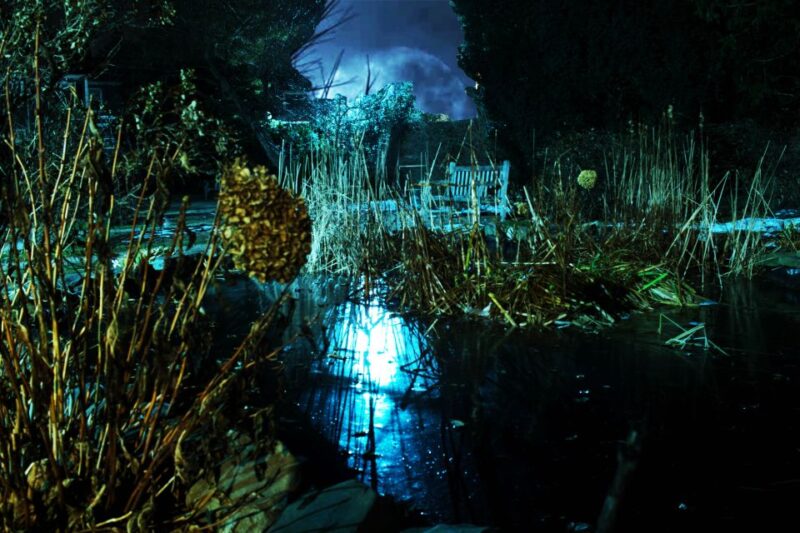 Salem: Ghosts, Witches, & Warlocks Guided Walking Tour - Authentic Experiences and What Travelers Say