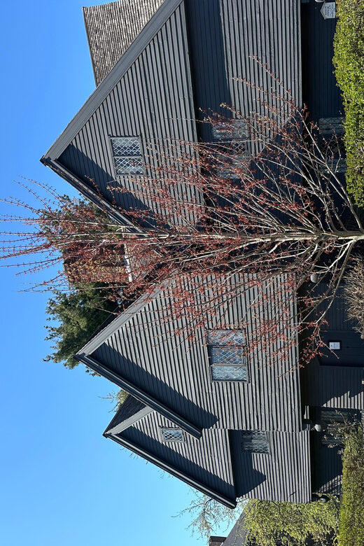 Salem, MA: Merchants & Mansions: an architecture tour - FAQ