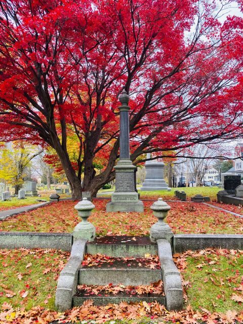 Salem, MA: Mysteries & Murder Guided Walking Tour - Practical Details