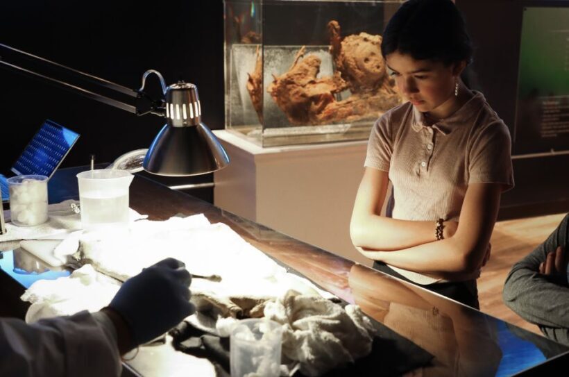 Salem: Pirate Museum with Authentic Treasures Entry Ticket - Value for Money