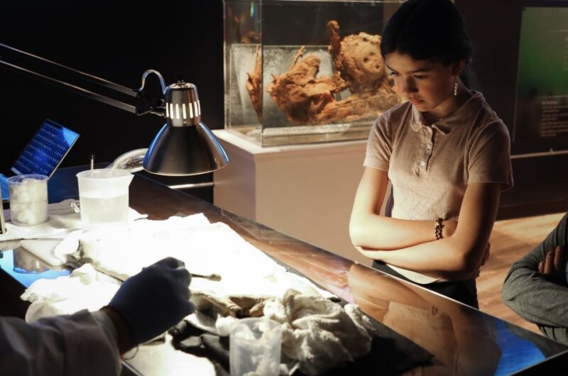 Salem: Pirate Museum with Authentic Treasures Entry Ticket - The Sum Up