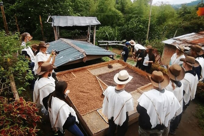 Salento and Cócora Tour Plus Coffee Farm From Pereira or Armenia - The Cócora Valley Experience