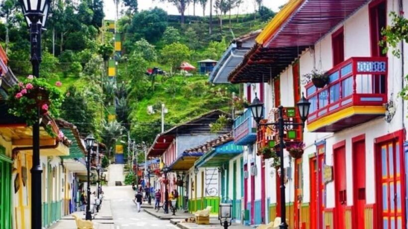 Salento and Cocora Valley Full Plan from Pereira or Armenia - A Closer Look at the Experience