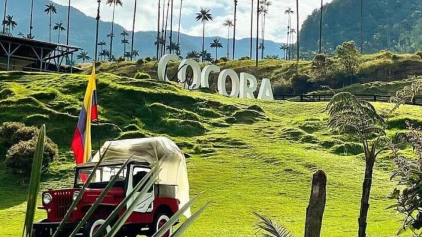 Salento, Cocora and Filandia Full Plan from Pereira/Armenia - Who Will Love This Tour?