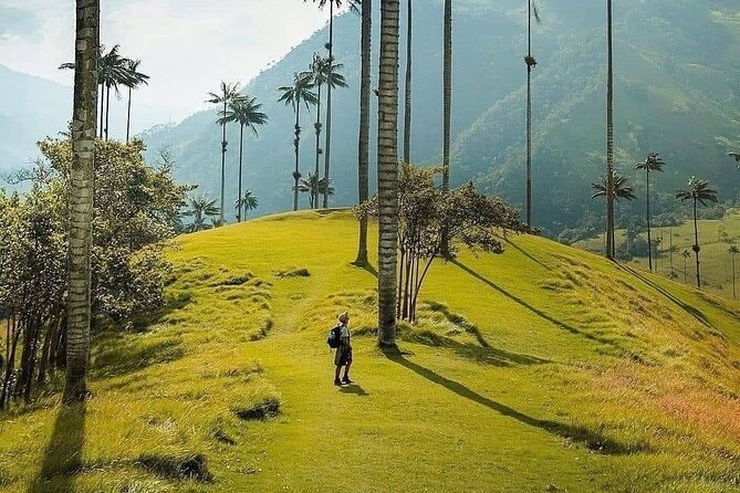 Salento, Cocora and Filandia Private Tour From Pereira or Armenia - Inclusions and Exclusions