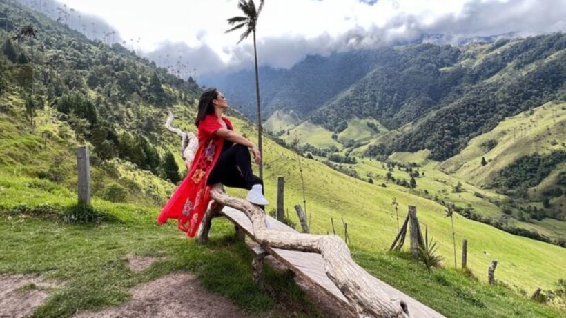 Salento, Cócora and Hot Springs Tour from Pereira or Armenia - Key Points