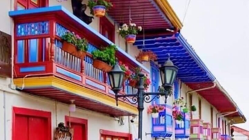 Salento, Cócora + Horseback Riding from Pereira or Armenia - Insights from Travelers: Authentic Feedback