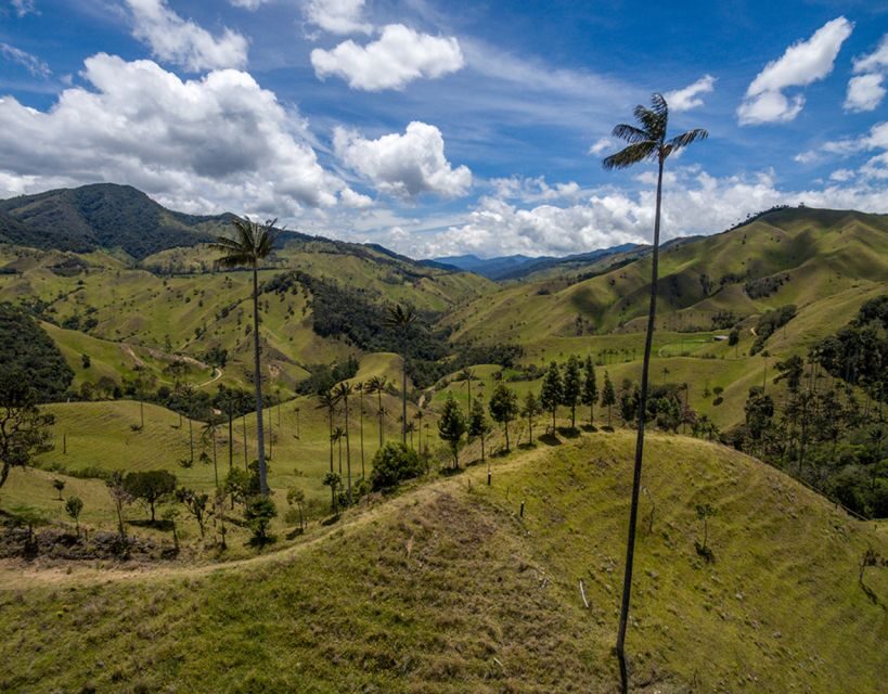 Salento/Pereira: Cocora Valley & Salento Hiking Private Tour - Discovering the Valle del Cocora: A Natural Wonder