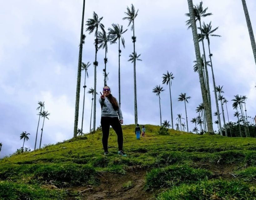 Salento/Pereira: Cocora Valley & Salento Hiking Private Tour - How the Itinerary Unfolds