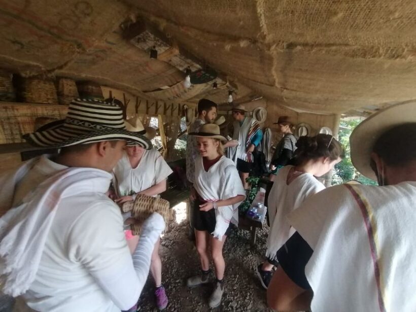 Salento: Private Cocora Valley, Salento & Coffee Farm Tour - An In-Depth Look at the Experience