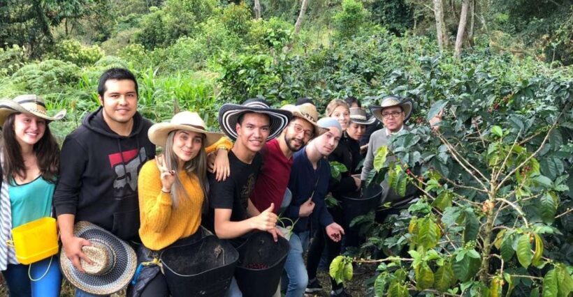 Salento: Private Cocora Valley, Salento & Coffee Farm Tour - Who Should Consider This Tour?