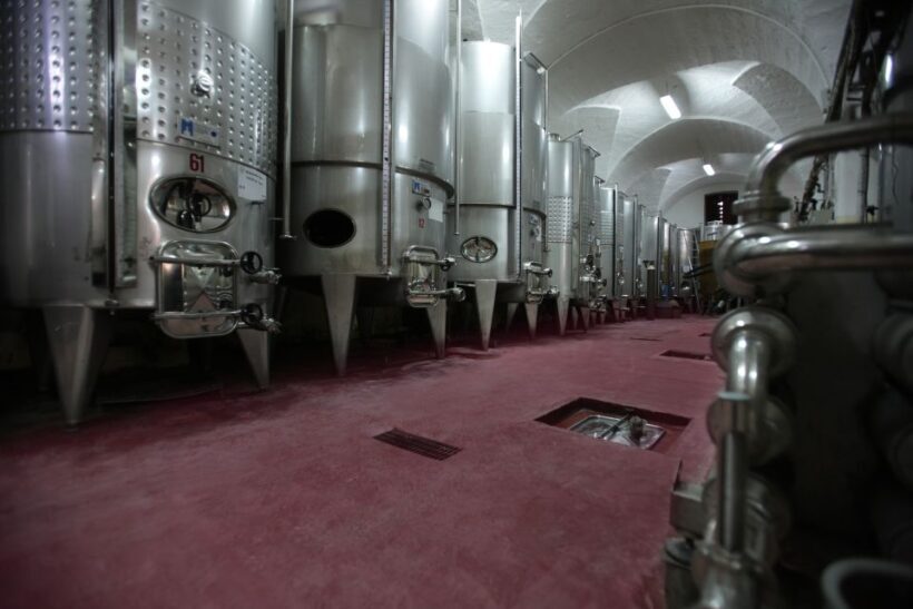 Salento: Winery Tour and Tasting - FAQ