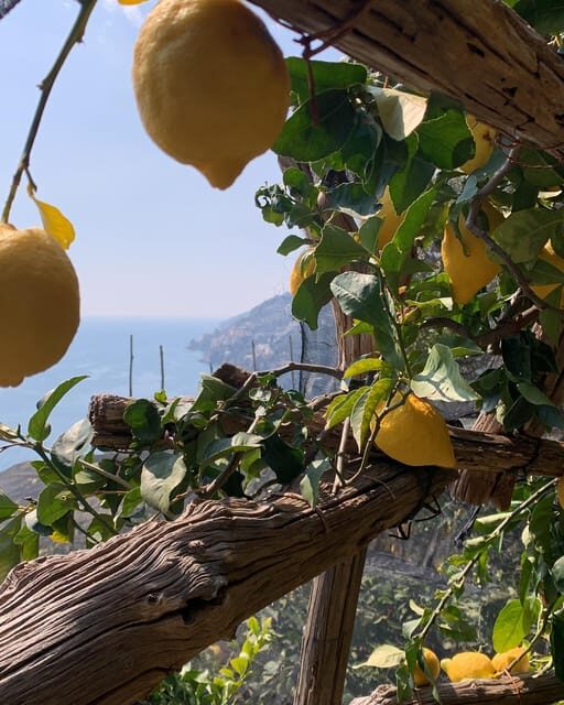 SALERNO: Easy Hiking Path of Lemons  Maiori and Minori - The Itinerary: What to Expect in Detail