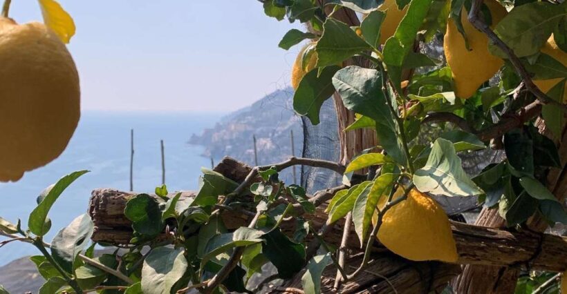 SALERNO: Easy Hiking Path of Lemons  Maiori and Minori - FAQs