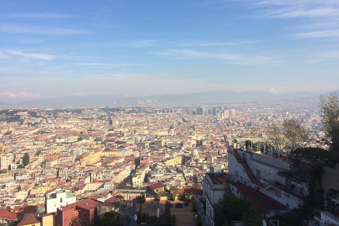 Salerno Shore Excursion: Private Naples Day Trip - What to Expect on Your Naples Day Trip