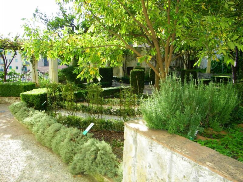 Salerno Walking Tour - The Sum Up