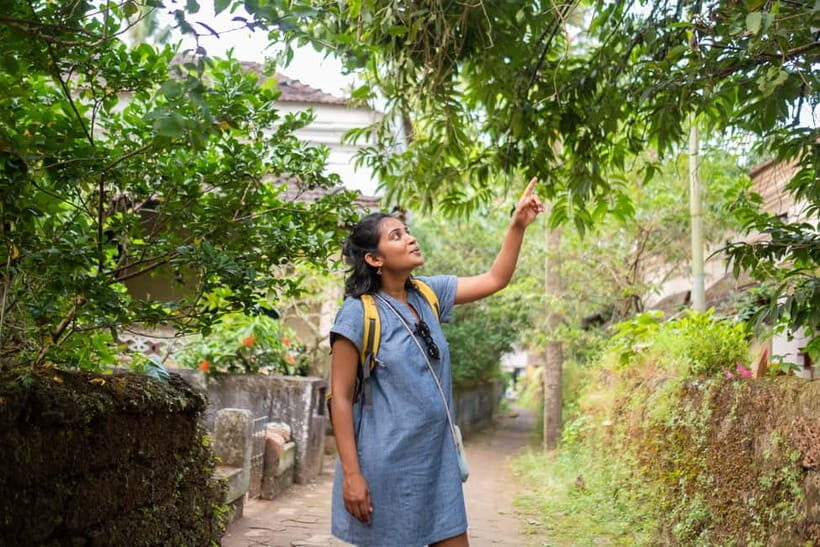 Saligao: Village Saunter through Saligao - The Sum Up
