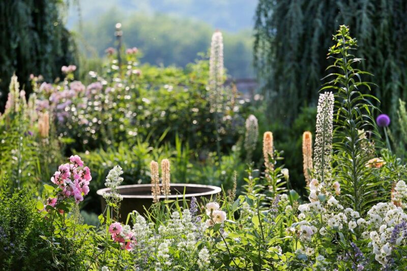 Salignac-Eyvigues: Gardens of Eyrignac Manor Entry Ticket - Duration and Navigation