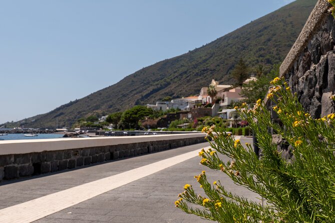 Salina Panarea Stromboli by night - Who Should Consider This Tour