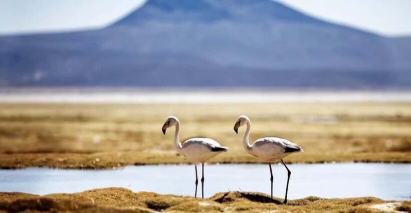 Salinas Lagoon Adventure - Full Day - Key Points