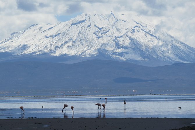 Salinas Lake - National Reserve PRIVATE TOUR - Observing Regional Flora and Fauna