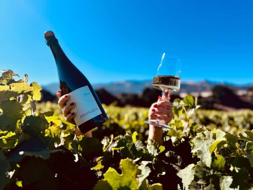 Salinas Valley, CA: Wine tasting experience - Key Points