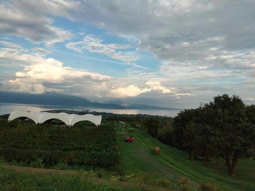 Salò: Tasting of 4 Valtenesi wines with local food - FAQ