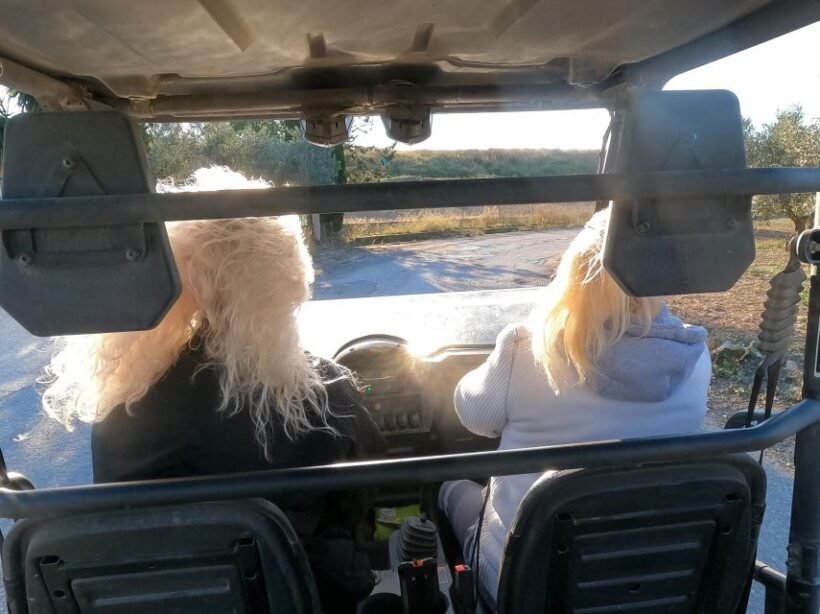 Salou: Buggy Safari with Hotel Transfer - Key Points