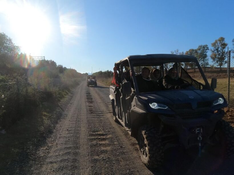 Salou: Buggy Safari with Hotel Transfer - An In-Depth Look at the Experience