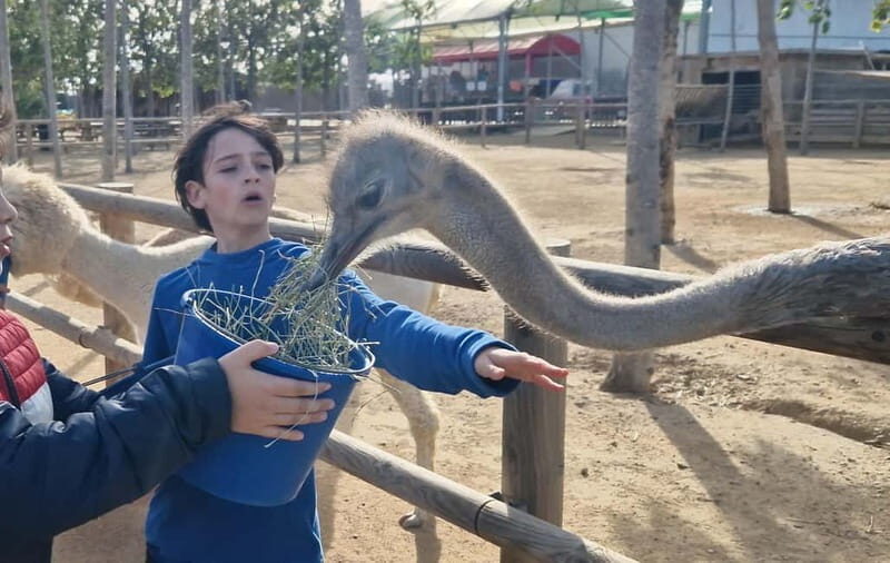 Salou, Cambrils, or Pineda: Animal Farm Roundtrip Transfer - A Genuine Look at the Animal Farm Experience