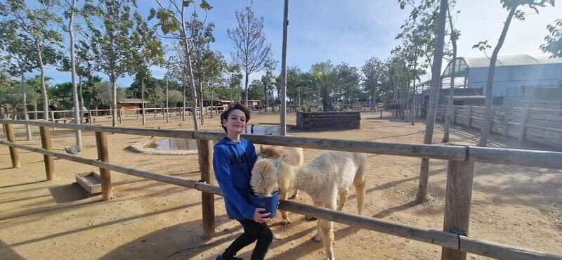 Salou, Cambrils, or Pineda: Animal Farm Roundtrip Transfer - Frequently Asked Questions