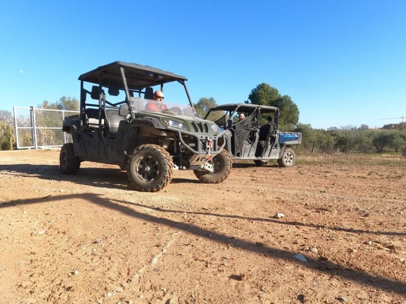 Salou: Kid's Buggy Driving Experience in Safe Environment - An In-Depth Look at the Kid’s Buggy Experience in Salou