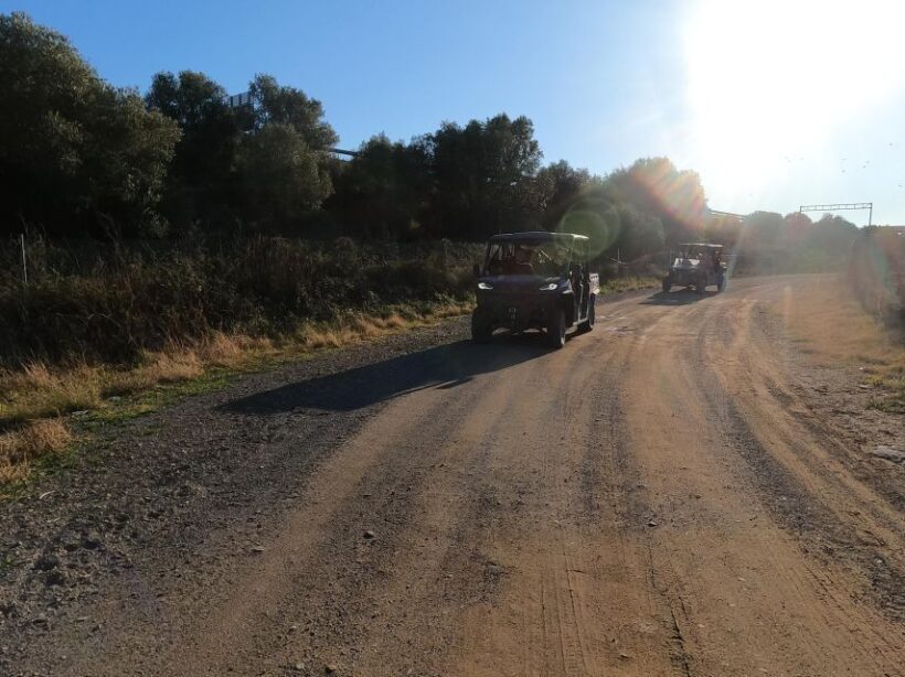 Salou: Kid's Buggy Driving Experience in Safe Environment - The Sum Up