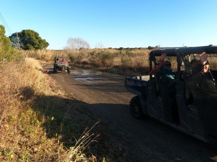 Salou: Kid's Buggy Driving Experience in Safe Environment - FAQ