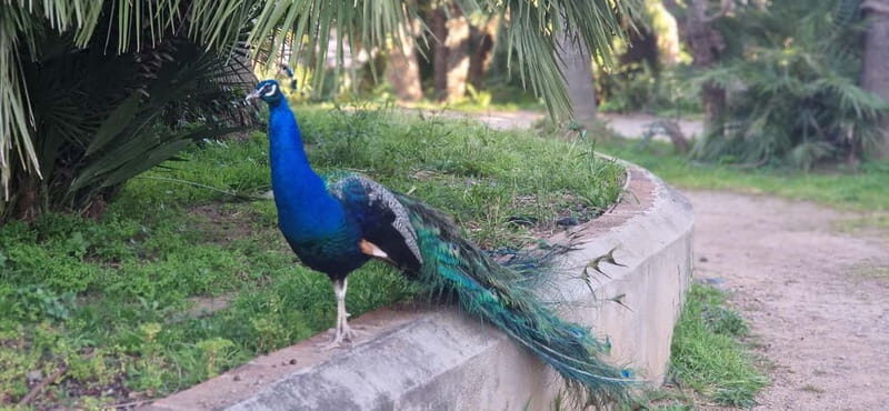 Salou safari: Park Samá with 1 vermouth tasting&hotel Pickup - Final Thoughts