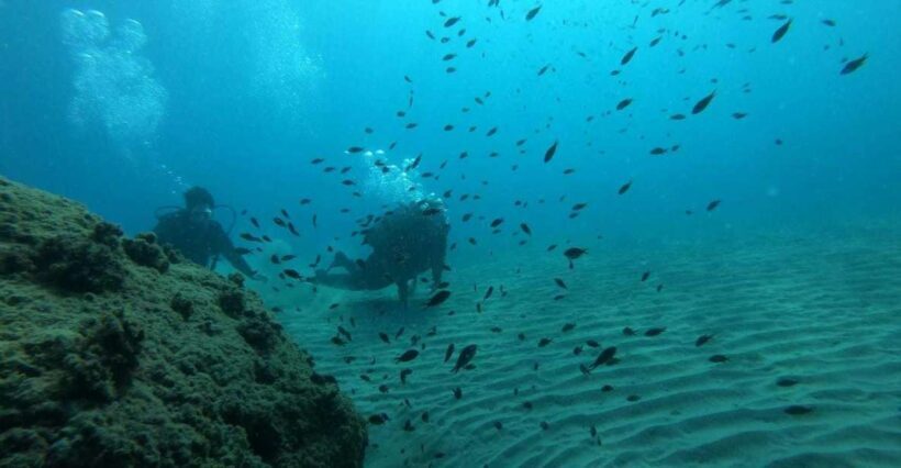Salou: Scuba Diving for Beginners - Introduction: A Beginner’s Guide to Underwater Fun in Salou