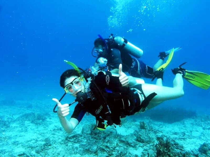 Salou: Scuba Diving for beginners with hotel pickup - An In-Depth Look at the Salou Scuba Experience