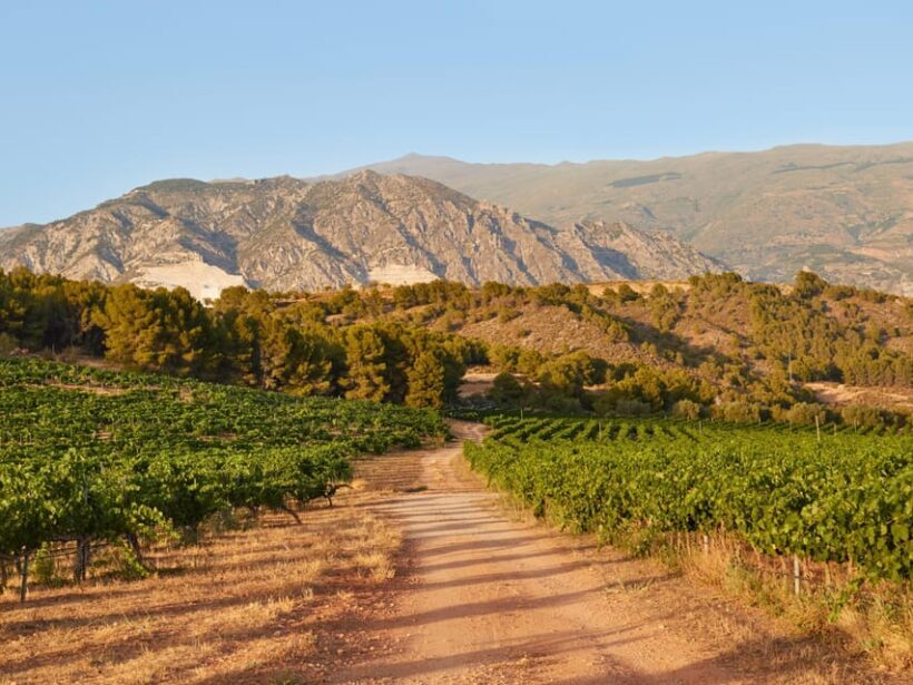Salou: Siurana Castle and Cornudella Winery Tour - Final Thoughts: Who Should Consider This Tour?