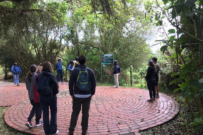 Salt Cathedral and Guatavita Lake; Visiting the Towns With Breackfast and Lunch. - Local Cuisine and Dining