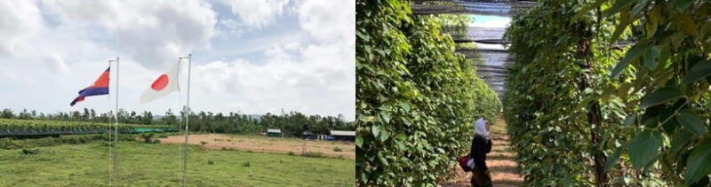 Salt Farm, Secret Lake, Secret Caves & Paper Farm - The Practicalities: Cost, Transportation, and Comfort