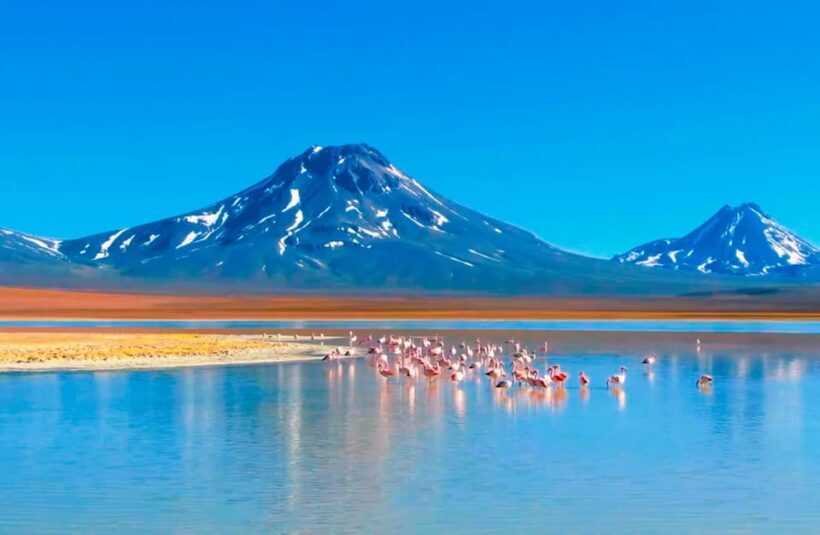 Salt Flats Expedition - Intimate Journey + Culinary Delights - Exploring the Salt Flats and Surroundings