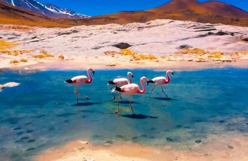 Salt Flats Expedition - Intimate Journey + Culinary Delights - Practical Details and Logistics